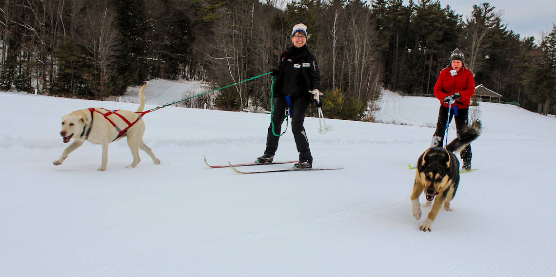 Skijoring- The Coolest New Winter Activity for You and Your Dog in the ...